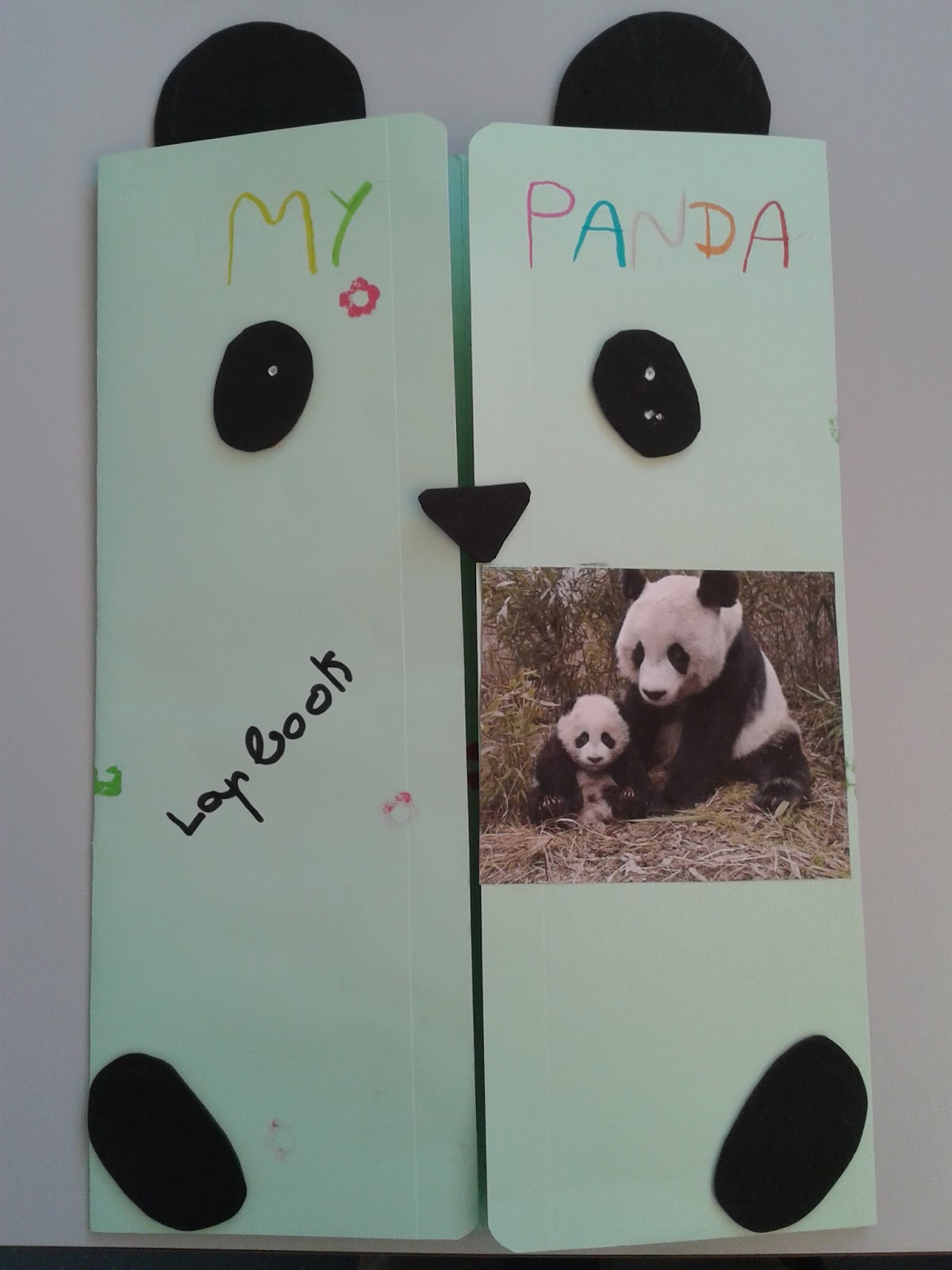 2º B (Eunate): Panda lapbook