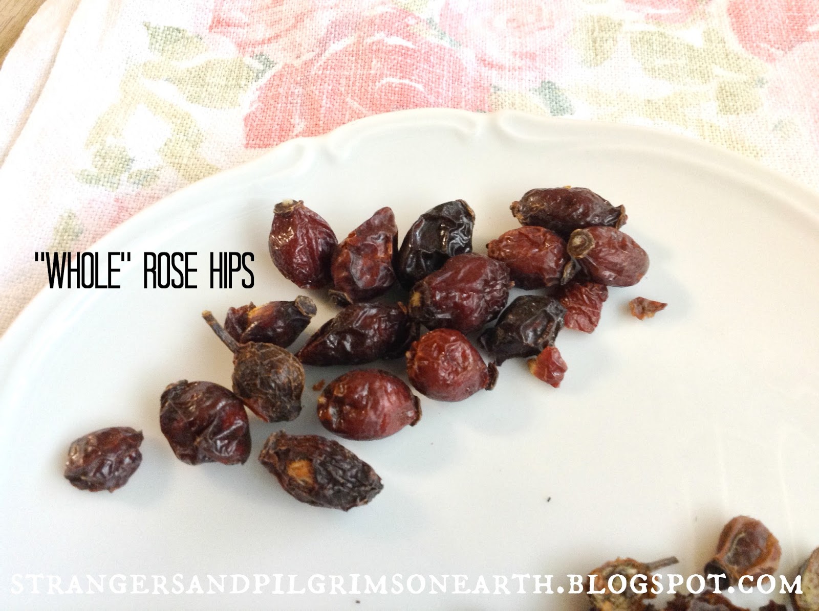 Strangers & Pilgrims on Earth: A "Little" Warning about Rose Hips ...