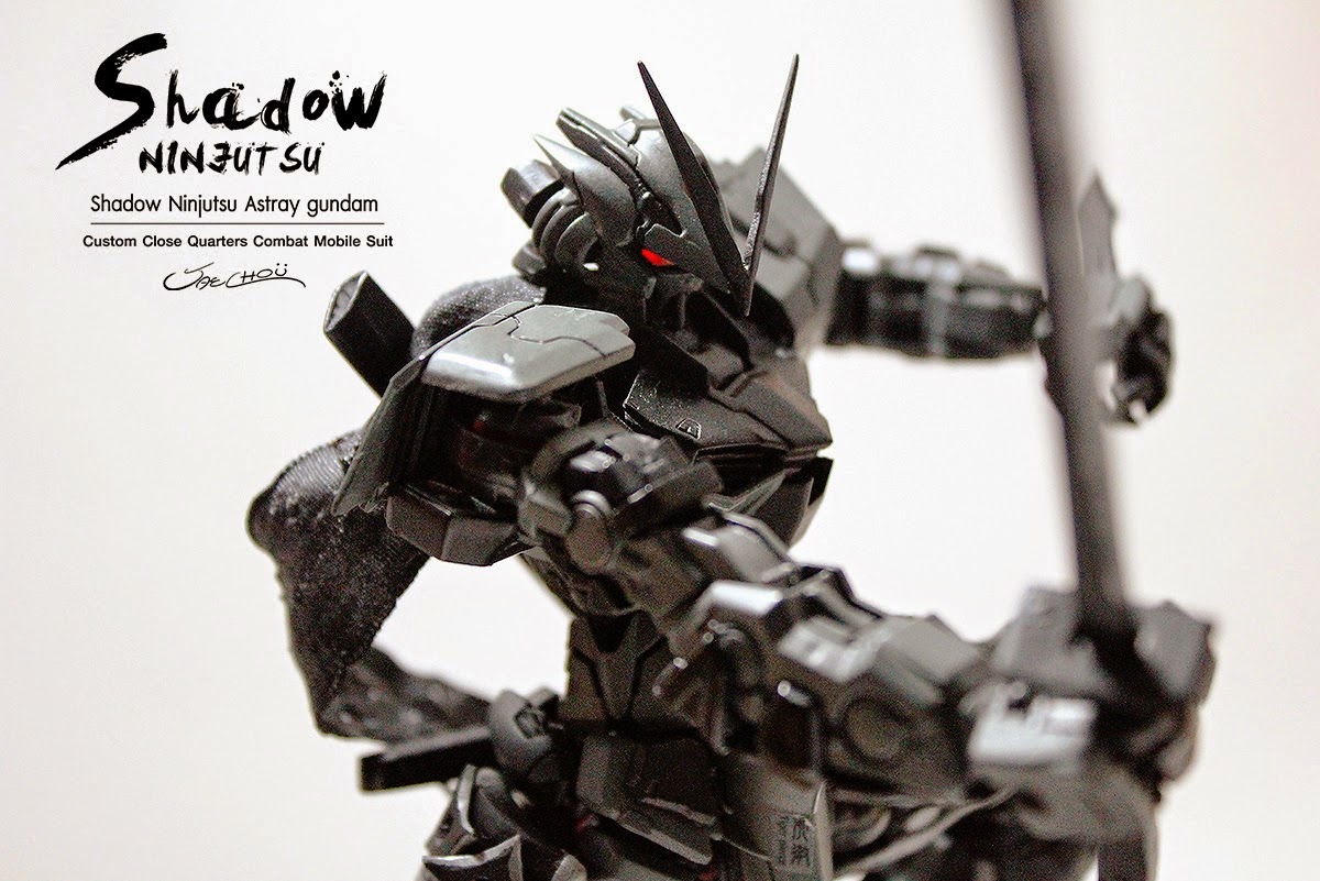 Gundam Family: MG 1/100 Shadow Ninjutsu Astray Gundam Painted Build