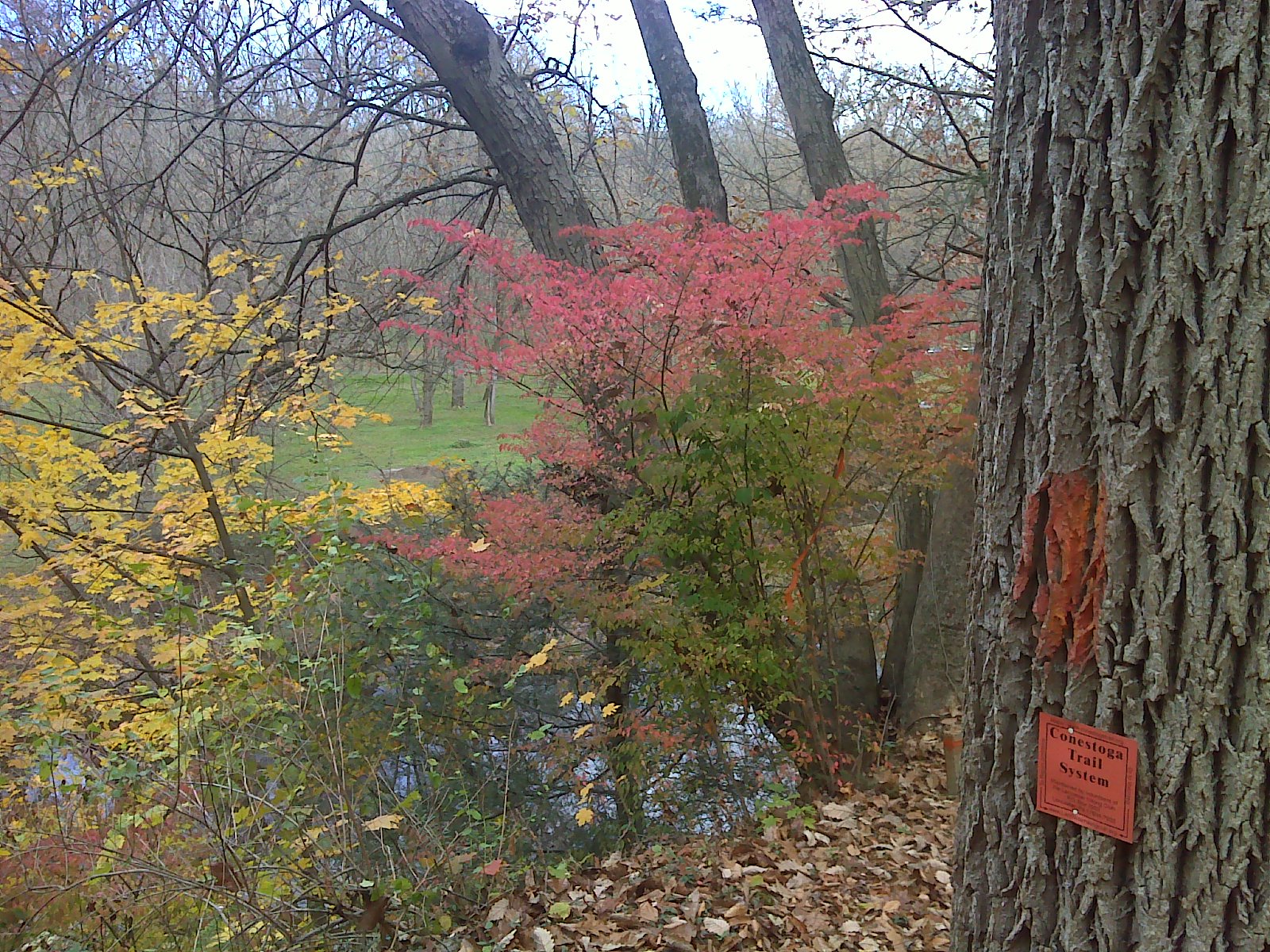 Heart and Sole: Susquehanna Sweet Spot - the Conestoga Trail