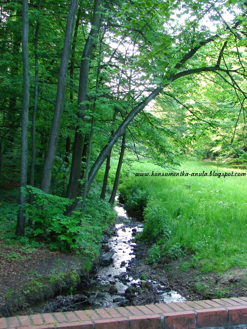 Anula bloguje... testy, opinie, medycyna, kulinaria i inne kreatywności ...