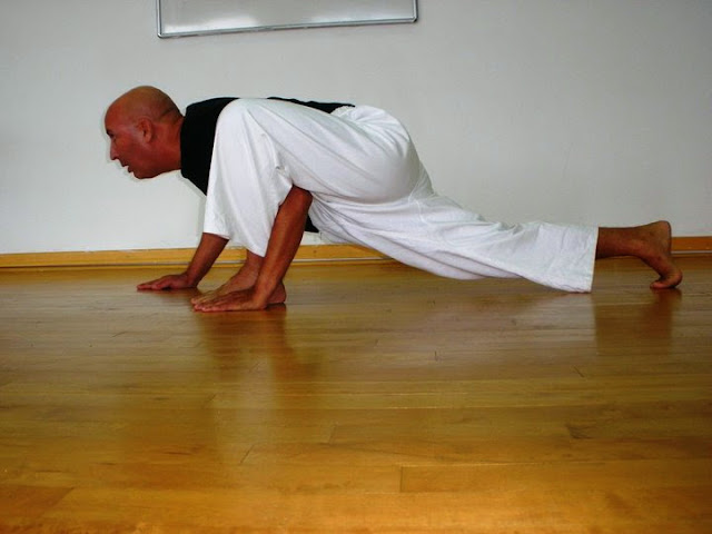 תנועה טיפולית Shin-Sen-Do / גרשון קום