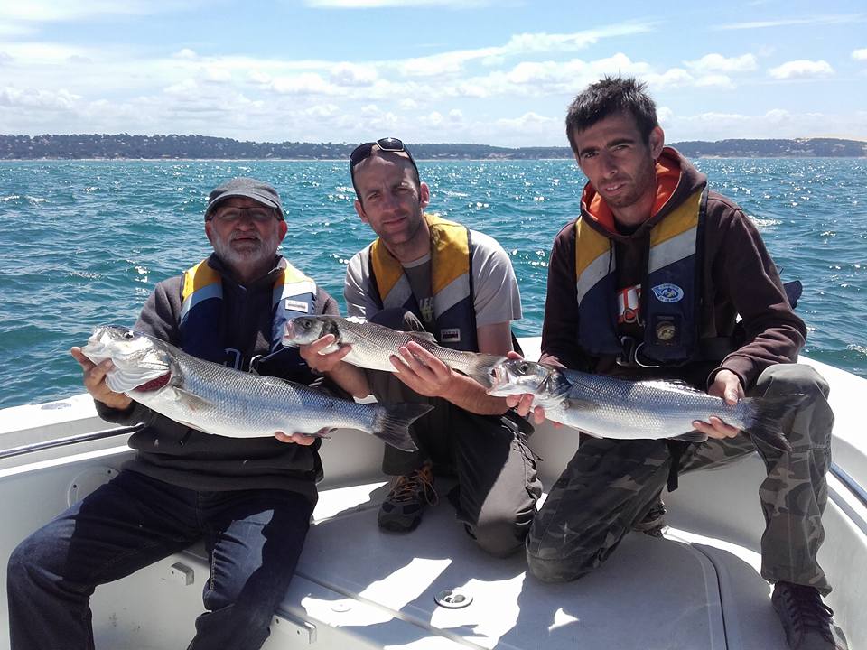 Masta'Fish guide pêche Bassin d 'Arcachon
