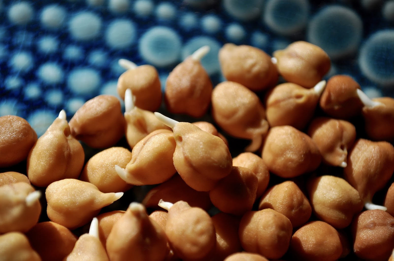 Cooking with Meena: Simple Sprouted Kala Chana Curry – no onion, no garlic