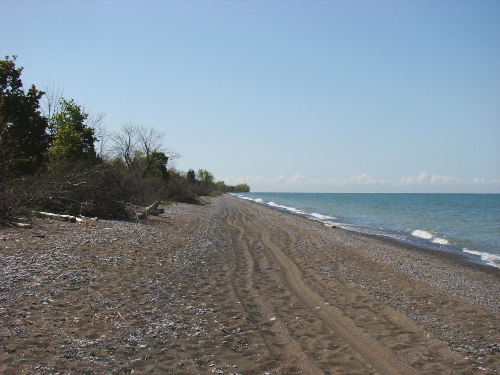 Weedpicker's Journal:: Point Pelee, Canada