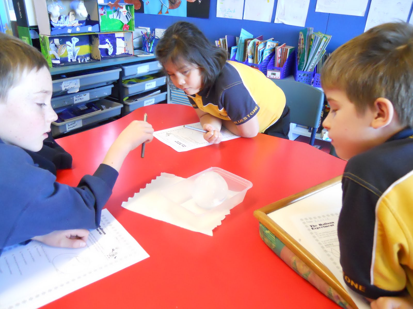 Room 8 - Bluestone School