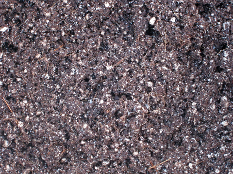 How-to | Root Simple