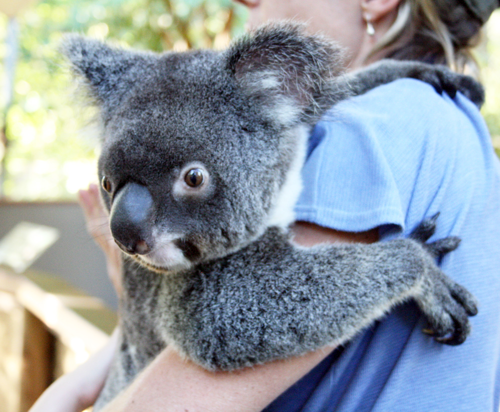 WallFry | Wall Art for Small Fry: August 2011