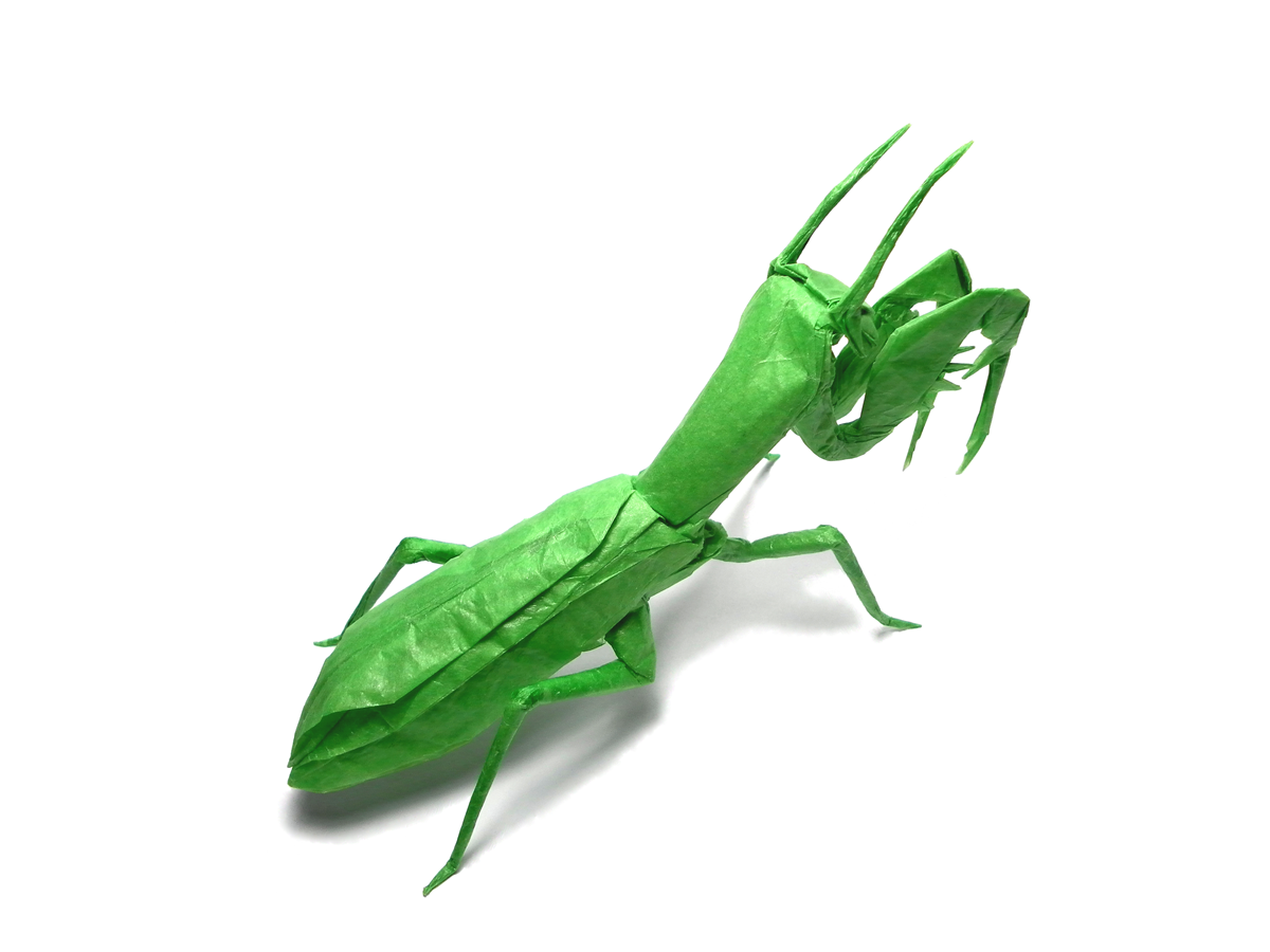 Mariano-Mi mundo el Origami: Praying Mantis