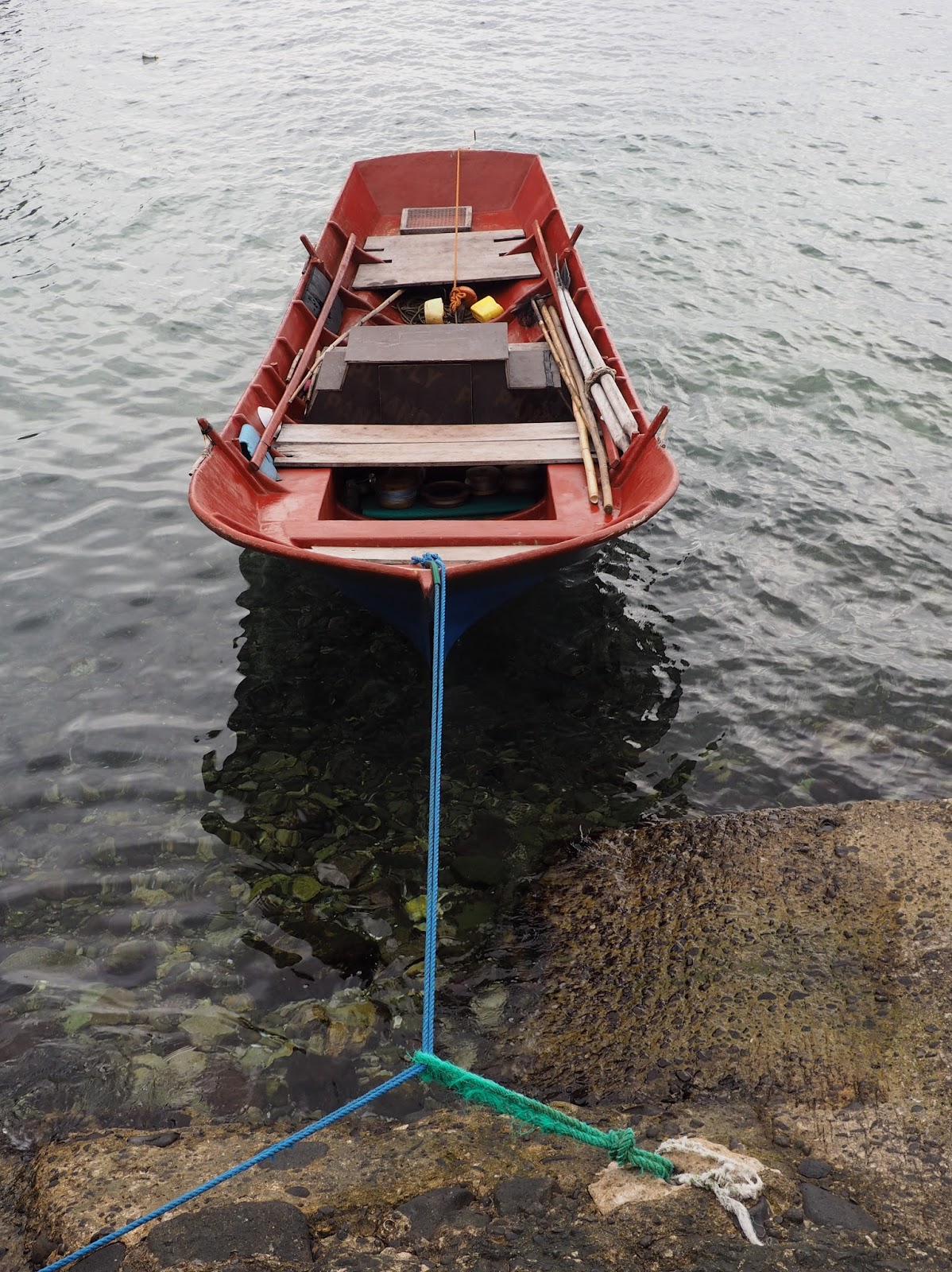 Andrea's Plants, Photos and Travels: A hurried visit to Sumnanga