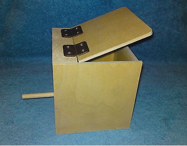 pasari-exotice.blogspot.com: Cinteza australiana zebrata (Zebra Finch)