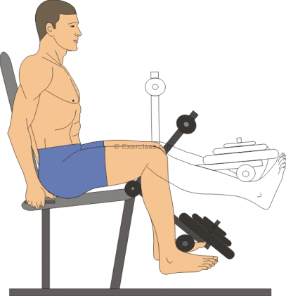 OPEN DAN CLOSED KINETIC CHAIN: METODE PENGUATAN QUADRICEPS OPEN DAN ...