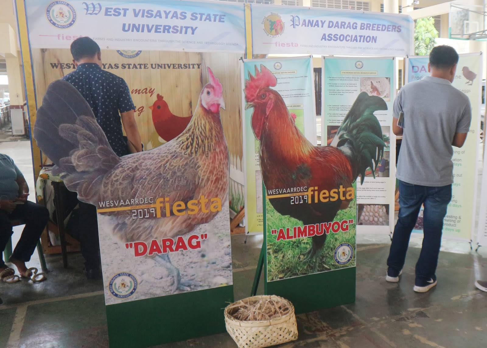 WVSU showcases Darag chicken technology in 2019 FIESTA | UEDC UPDATES