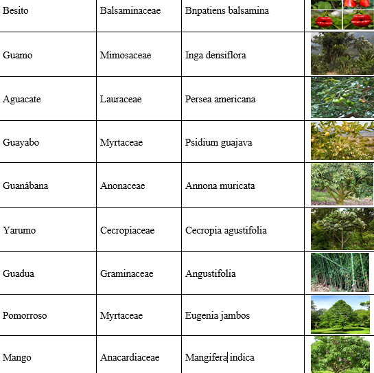 INVENTARIO DE ESPECIES DE FLORA Y FAUNA DE MI LOCALIDAD DE CONDAGUA