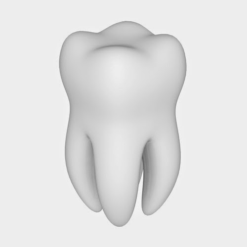 Ortodontia.com.Borel: Os 3 Molares.