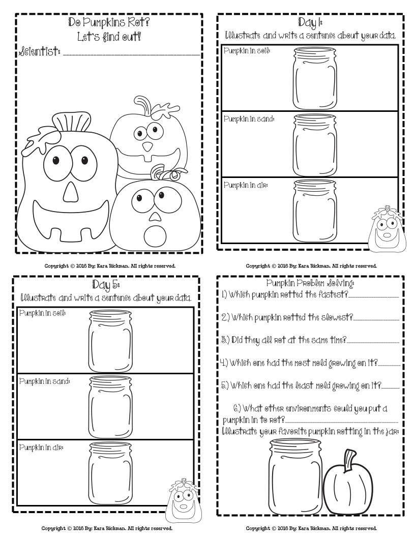 Create Your Balance With Literacy