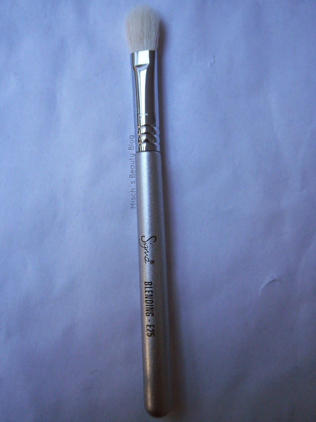 Misch's Beauty Blog: New Sigma Brushes! E30 and F40