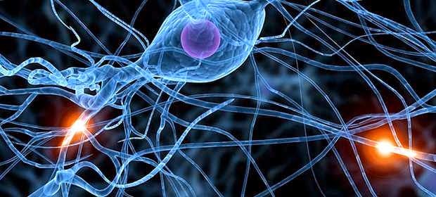 Enroque de ciencia: Crítica de Lucy (y II)