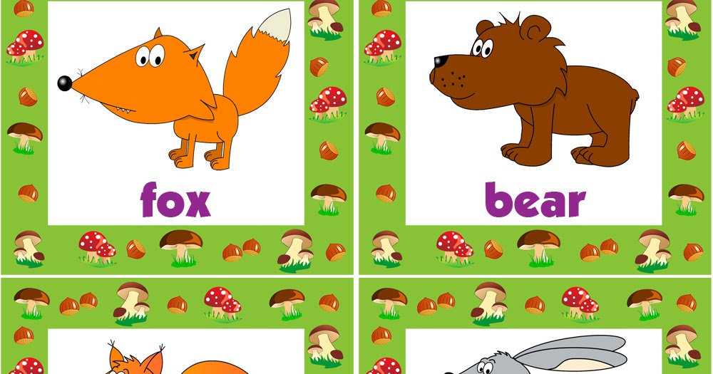 Forest Animals: Forest Animals Flashcards