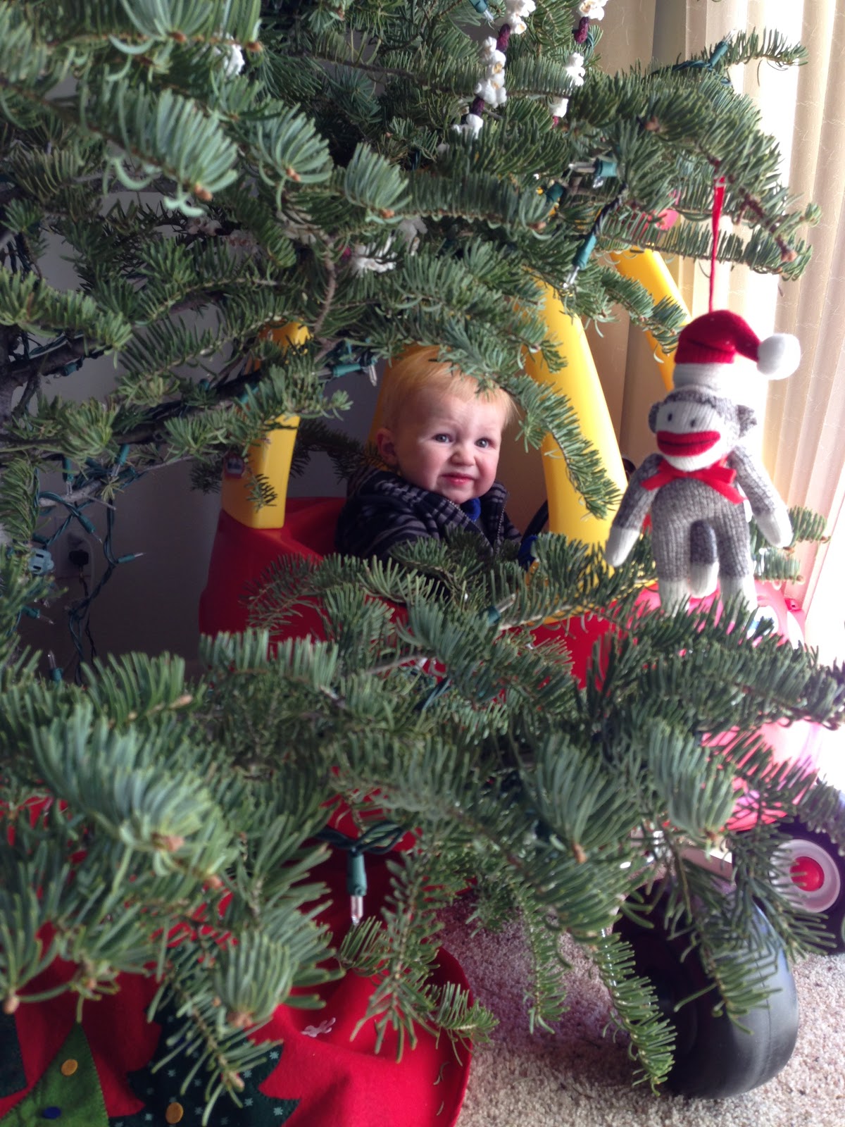 ...griff and graham: New Year, New House