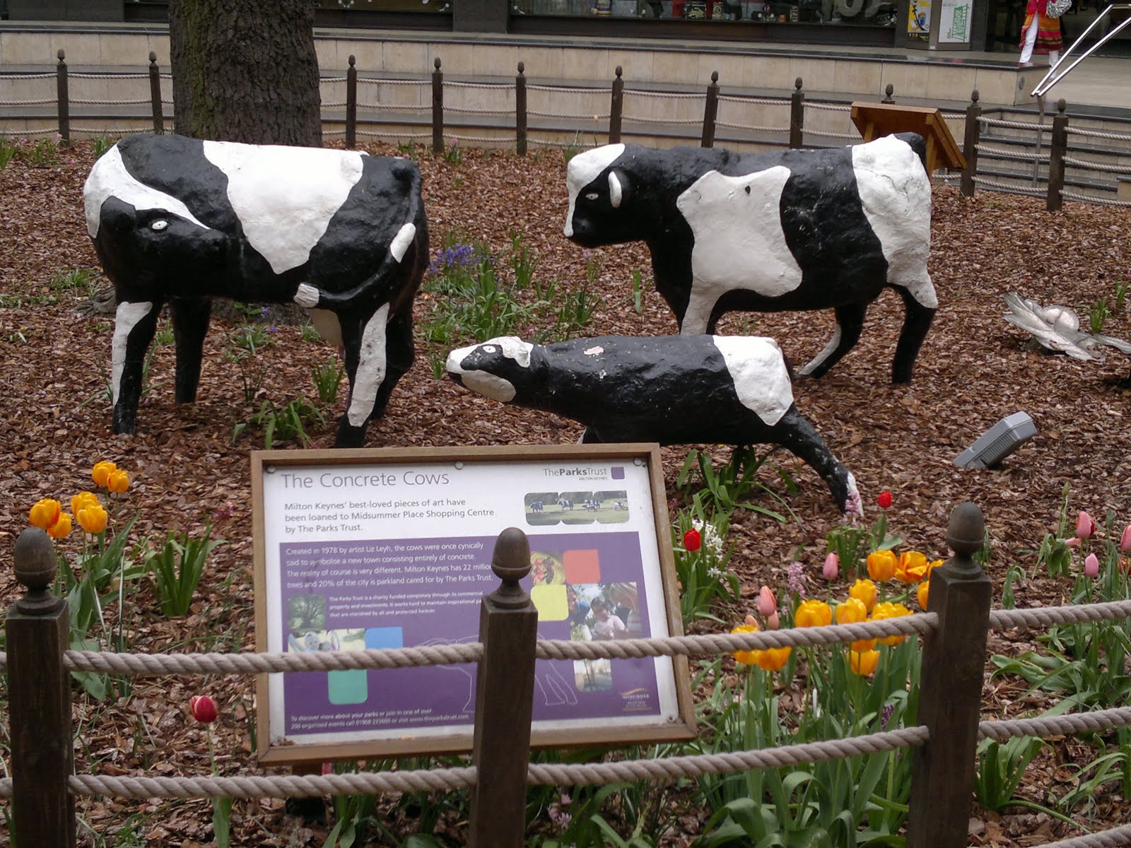 Baby Baby: Reasons to love living in Milton Keynes #3