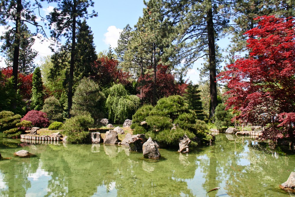 Travel Rants and Raves: Spokane's Manito Park: A TripAdvisor Top 25 Park