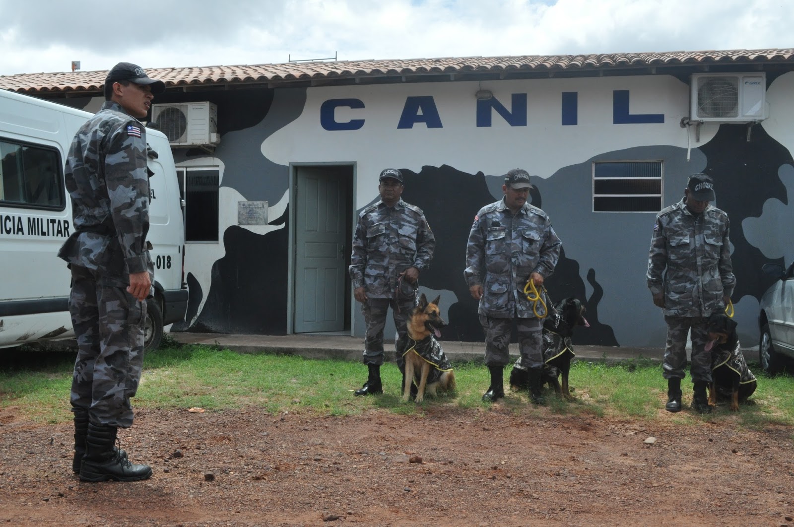 Canil BP Choque PMMA