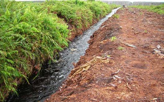 Besta's Blog: Drainase