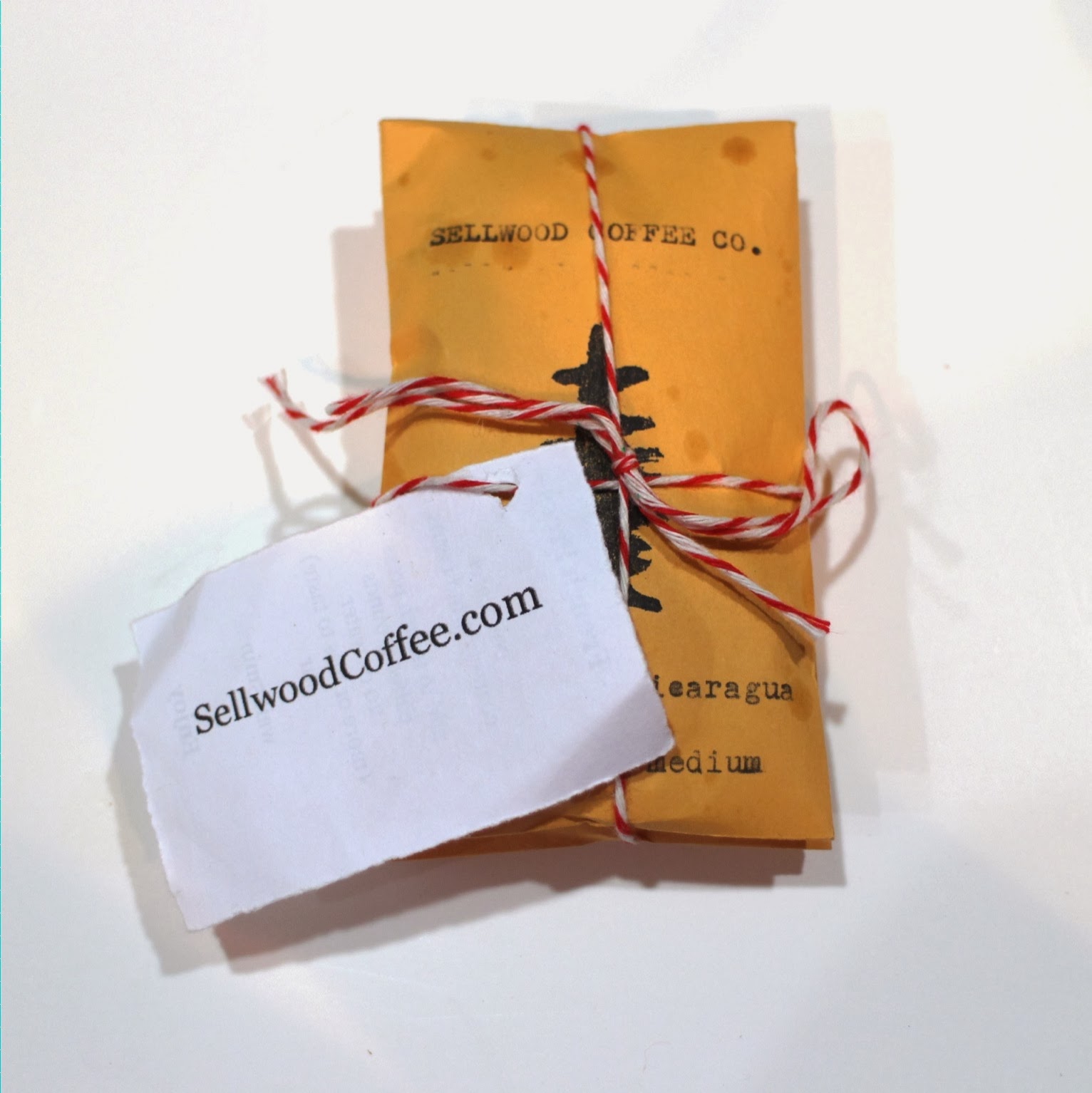 Tickled Pink in the Rain: Bringing the Pacific Northwest to you- Tique ...