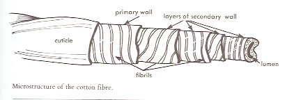 Art Quill Studio: Cellulosic Fibers (Natural) – Cotton[1-3]Art ...