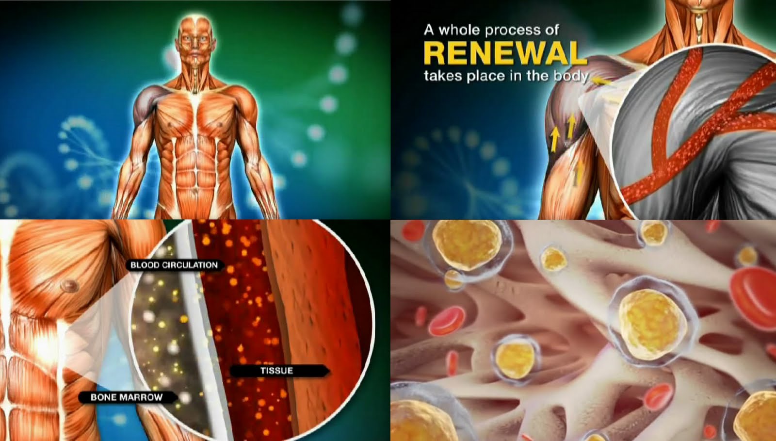 Stem Cell Therapy: JENIS STEM CELL