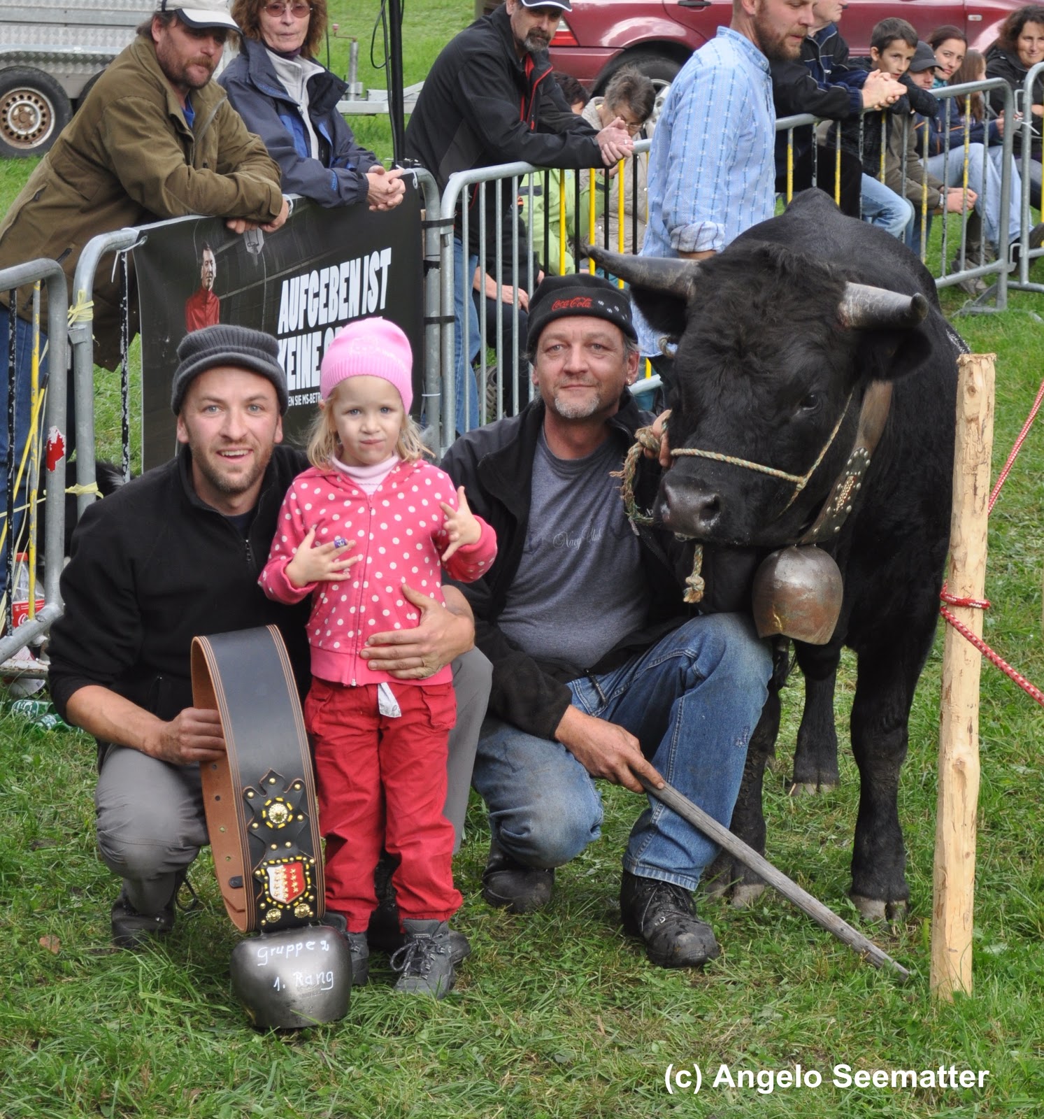 Inspiration Eringerkuh: Rinderlistechfest Mörel - Filet, 14.10.2012