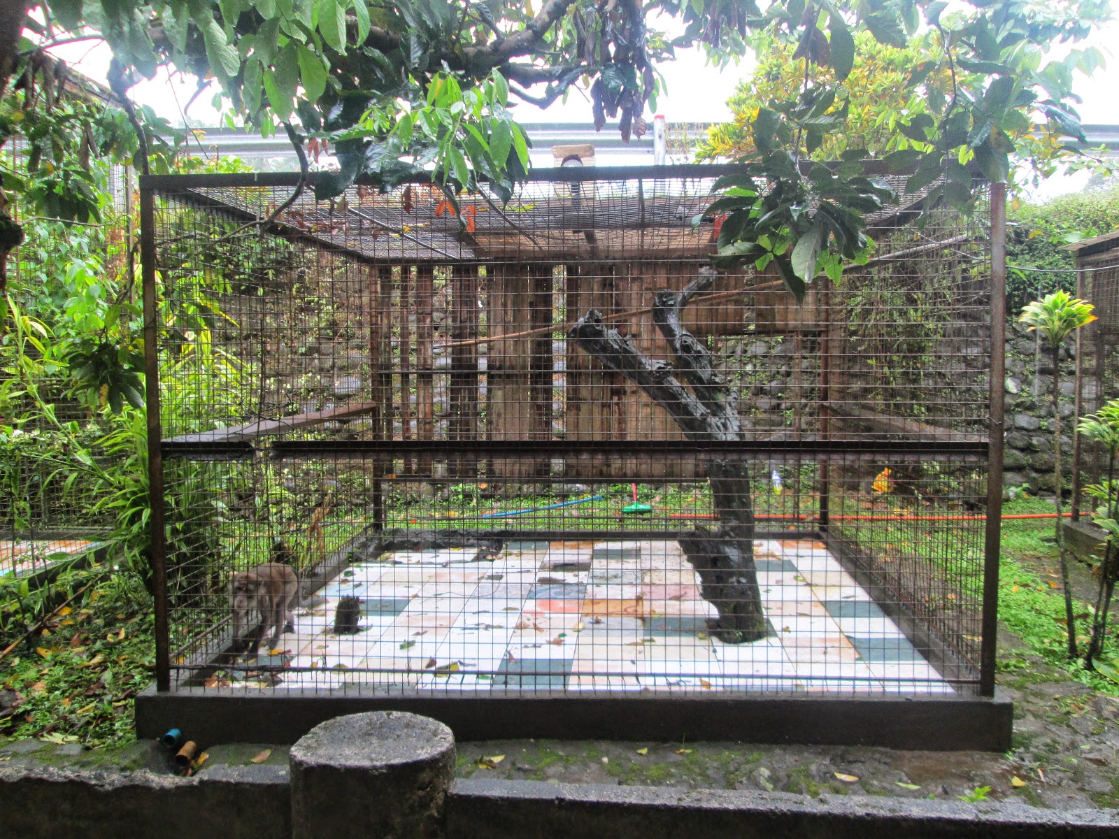 INSPIRING JOURNEY: THE NEW "KAMAYAN SA PALAISDAAN"