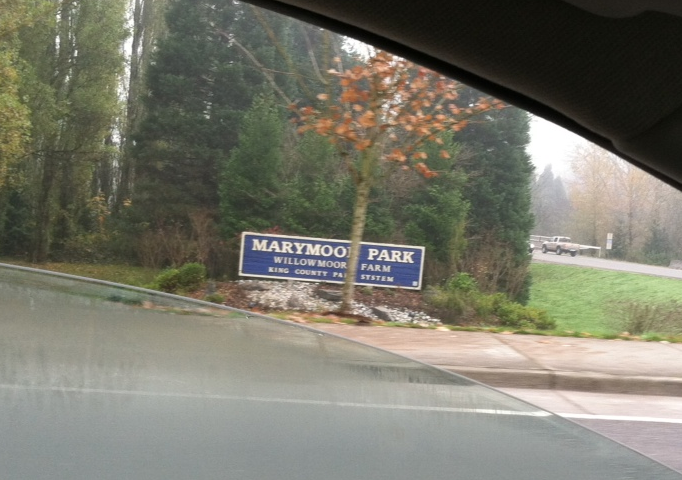 Seattle Dog Parks: Marymoor Park