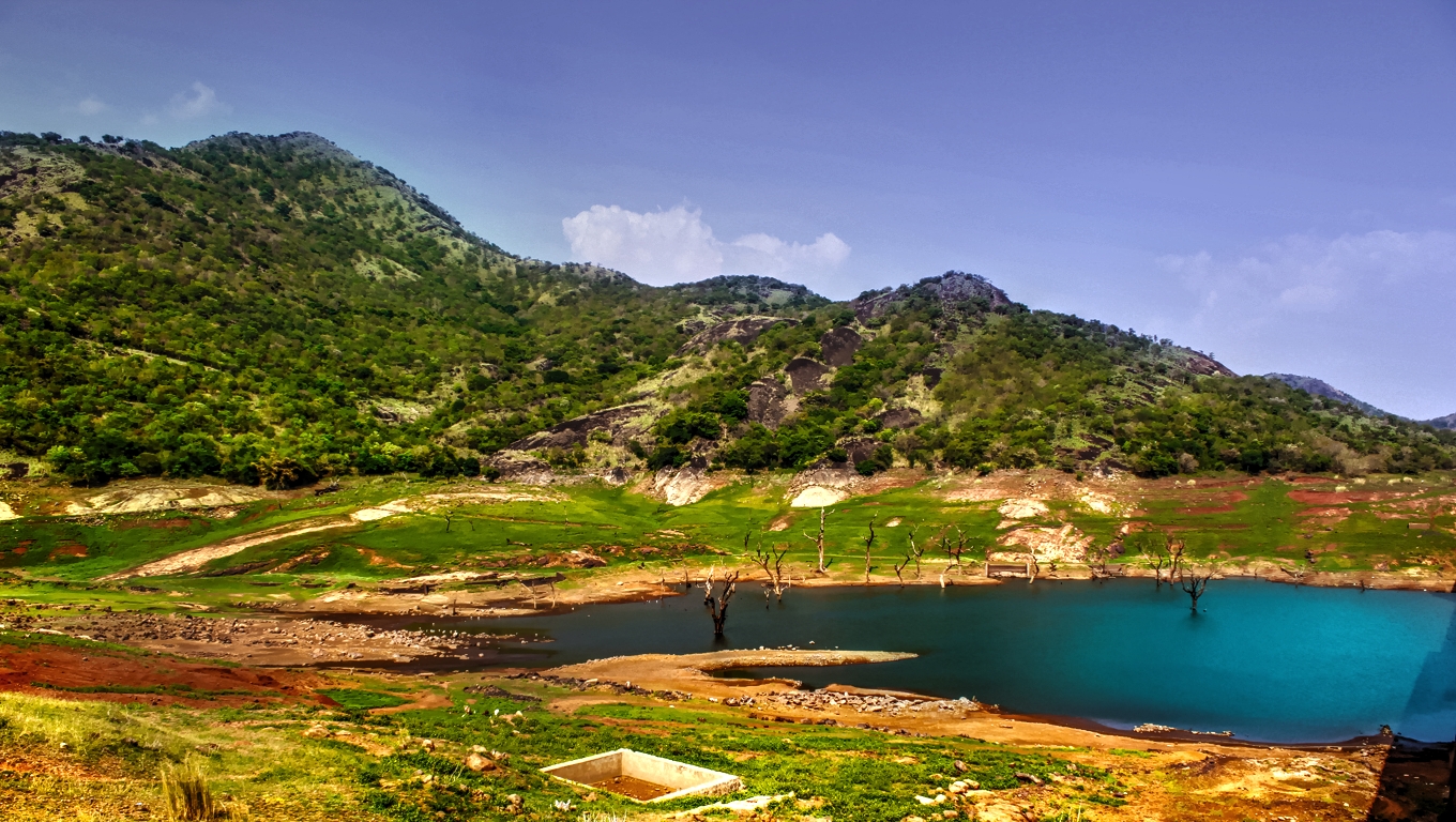 Tamilnadu Tourism: Adavinainar Dam, Sengottai, Thirunelveli