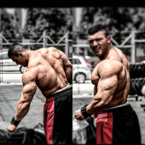 Worldwide Bodybuilders: Stallion boy from New Zealand Nathan Roe