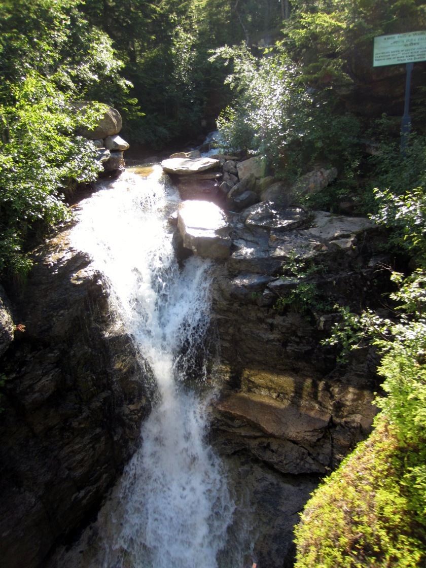 Dina's Travels: Skagway/Skaguay, June 28th--Train to the Summit