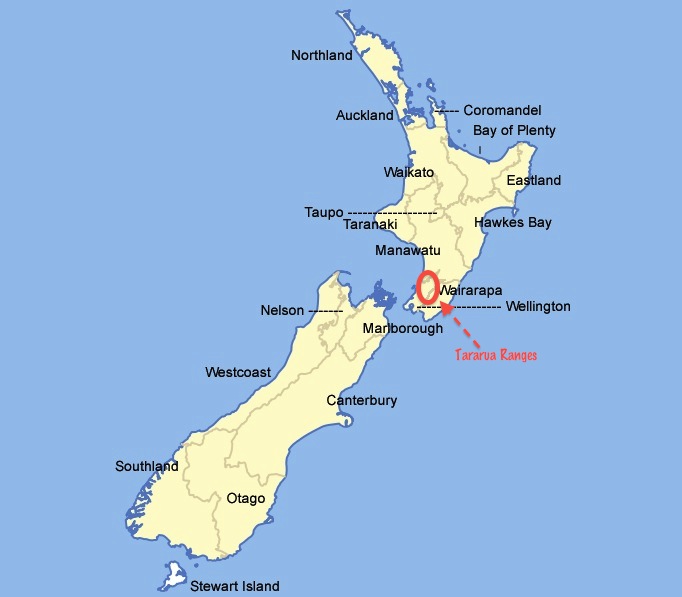 Our New Zealand Adventure: TARARUA RANGES TRAMPING TRIP: MT HOLDSWORTH ...