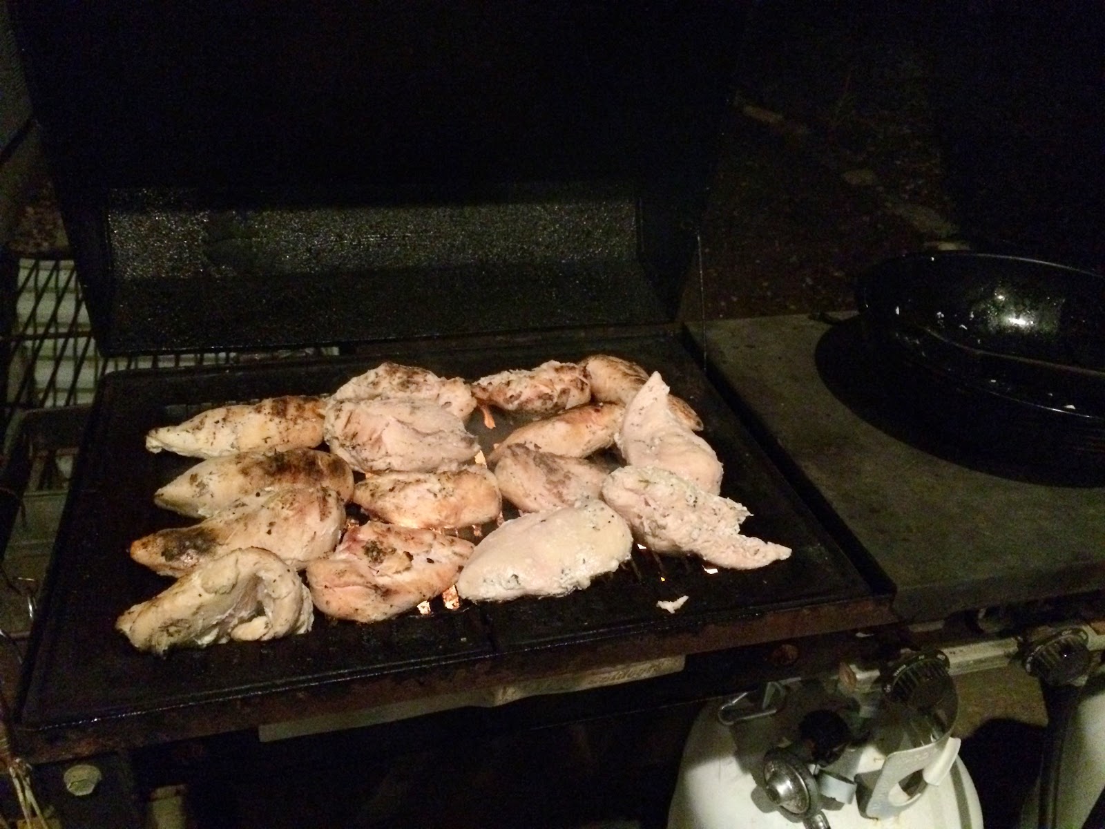 Kitchen Cheetahs: On-The-Go Grilled Chicken Strips