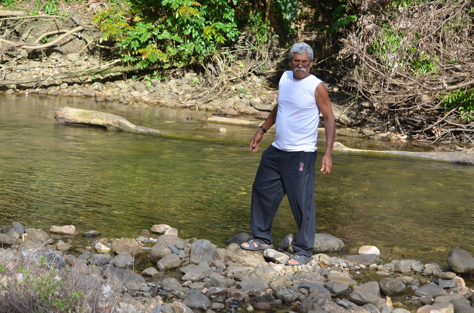 Solitary Trini River Lime