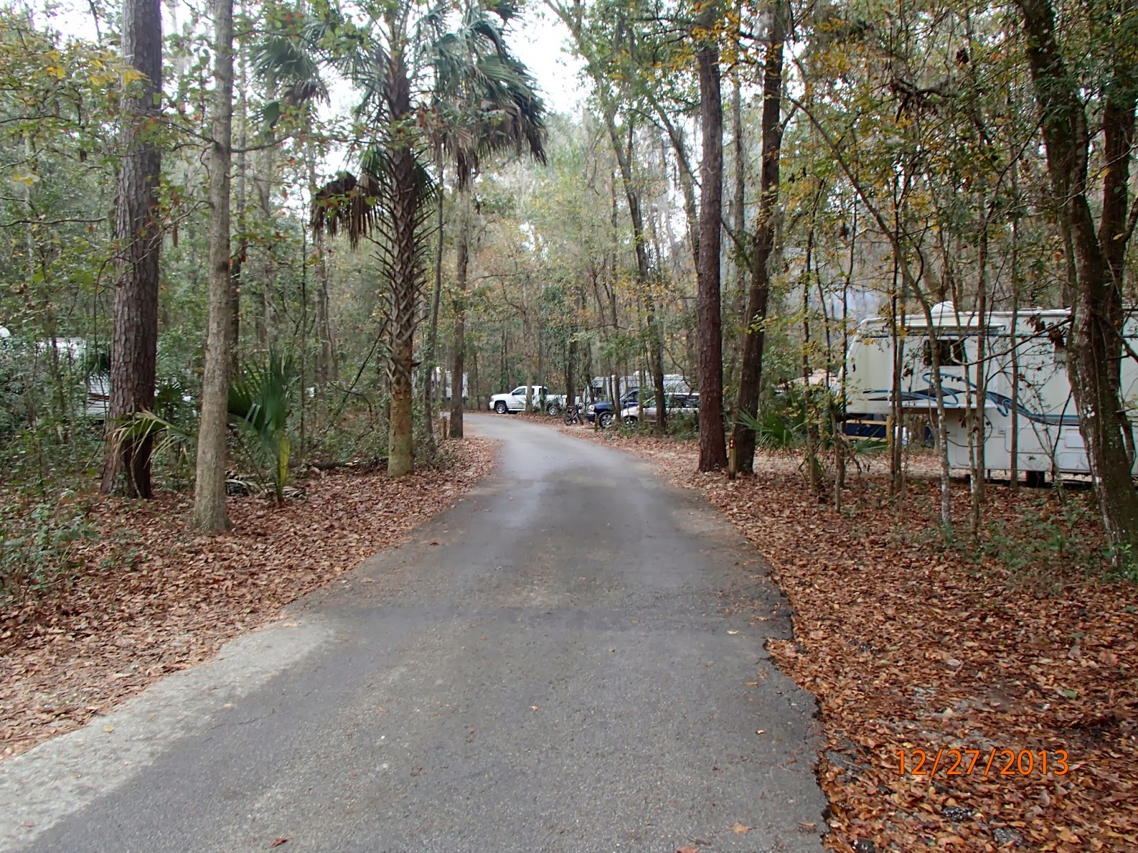 Nice Camps: Paynes Prairie State Preserve