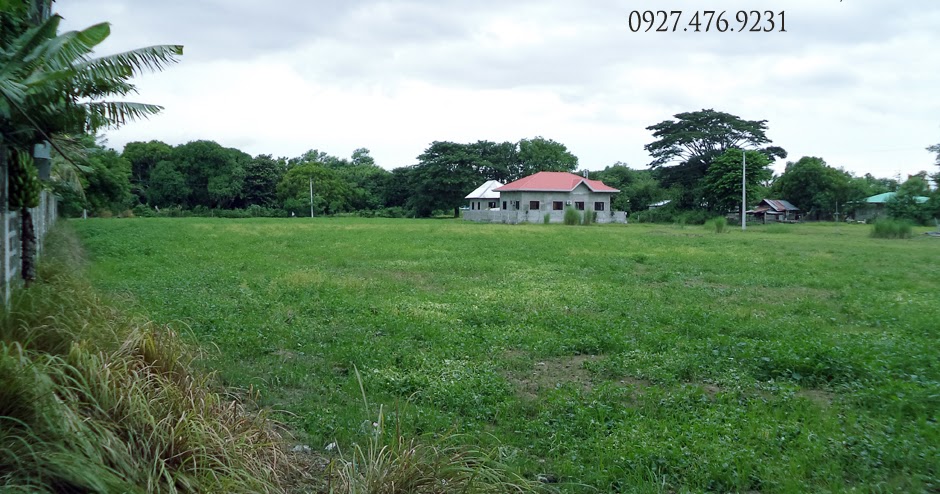 Pangasinan Properties: Farm Lot in Villasis, Pangasinan