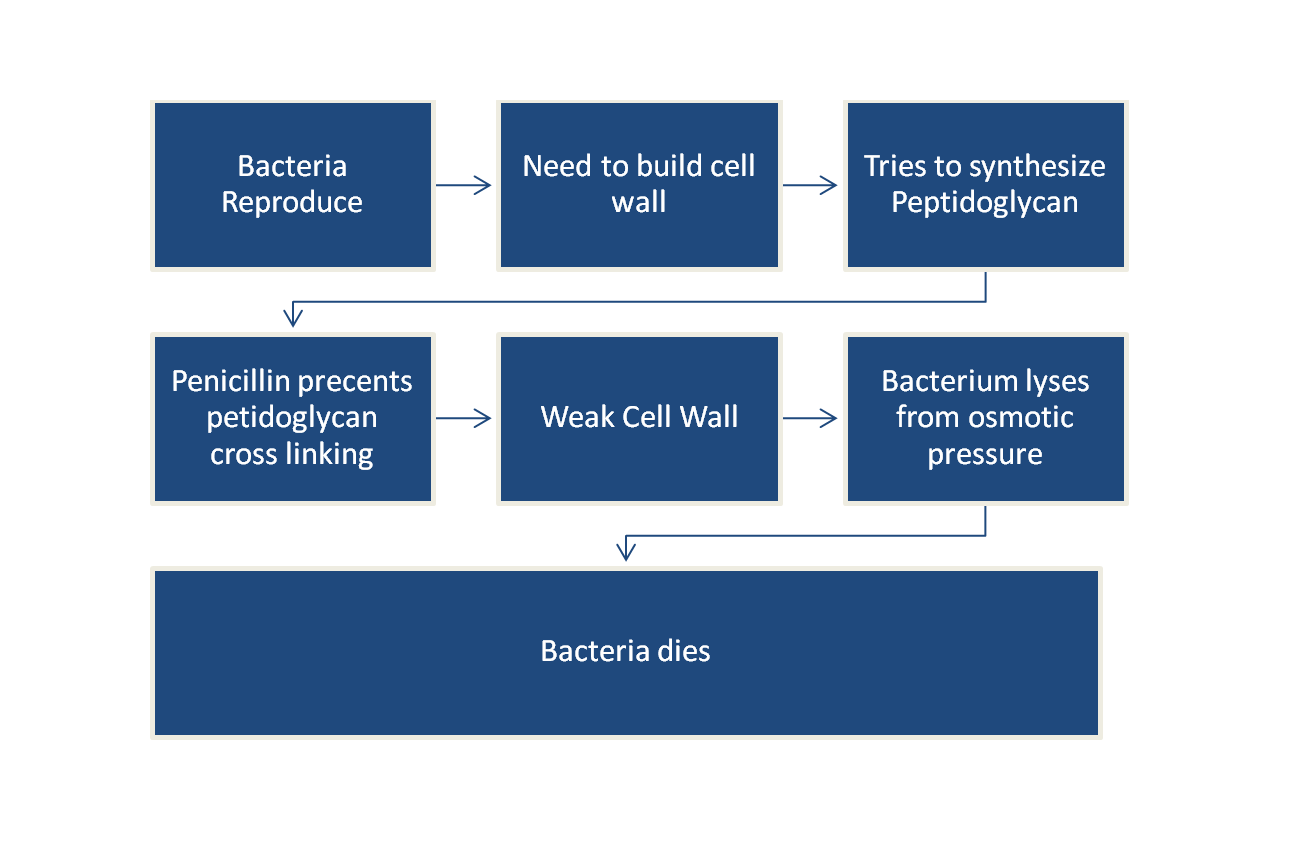 The Chemistry in History: Five Chemicals that Changed History