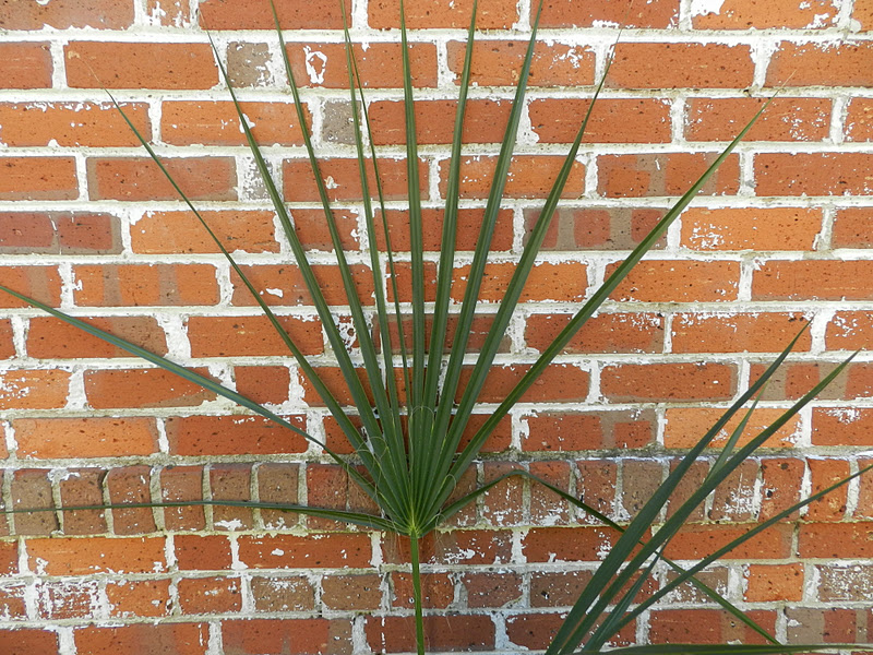 Mike's Historic Buildings: The "Modern" Aberdeen Apartments