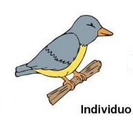 Biodiversidad: febrero 2016