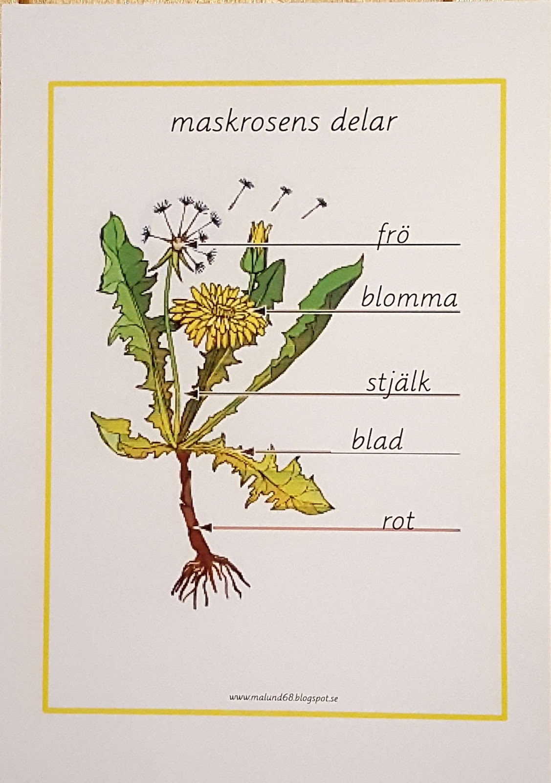 Min blogg om allt mellan himmel och jord: Gratis material till barn ...