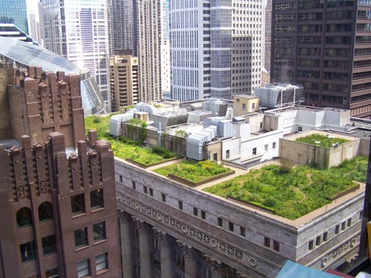 Eco-Friendly Green Roofs - Green Roofs Are The Future? | Houzz Home
