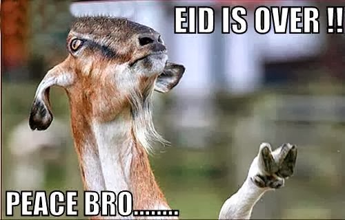 Eid Is Over Now Peace | Funny Jokes ~ Strangers World
