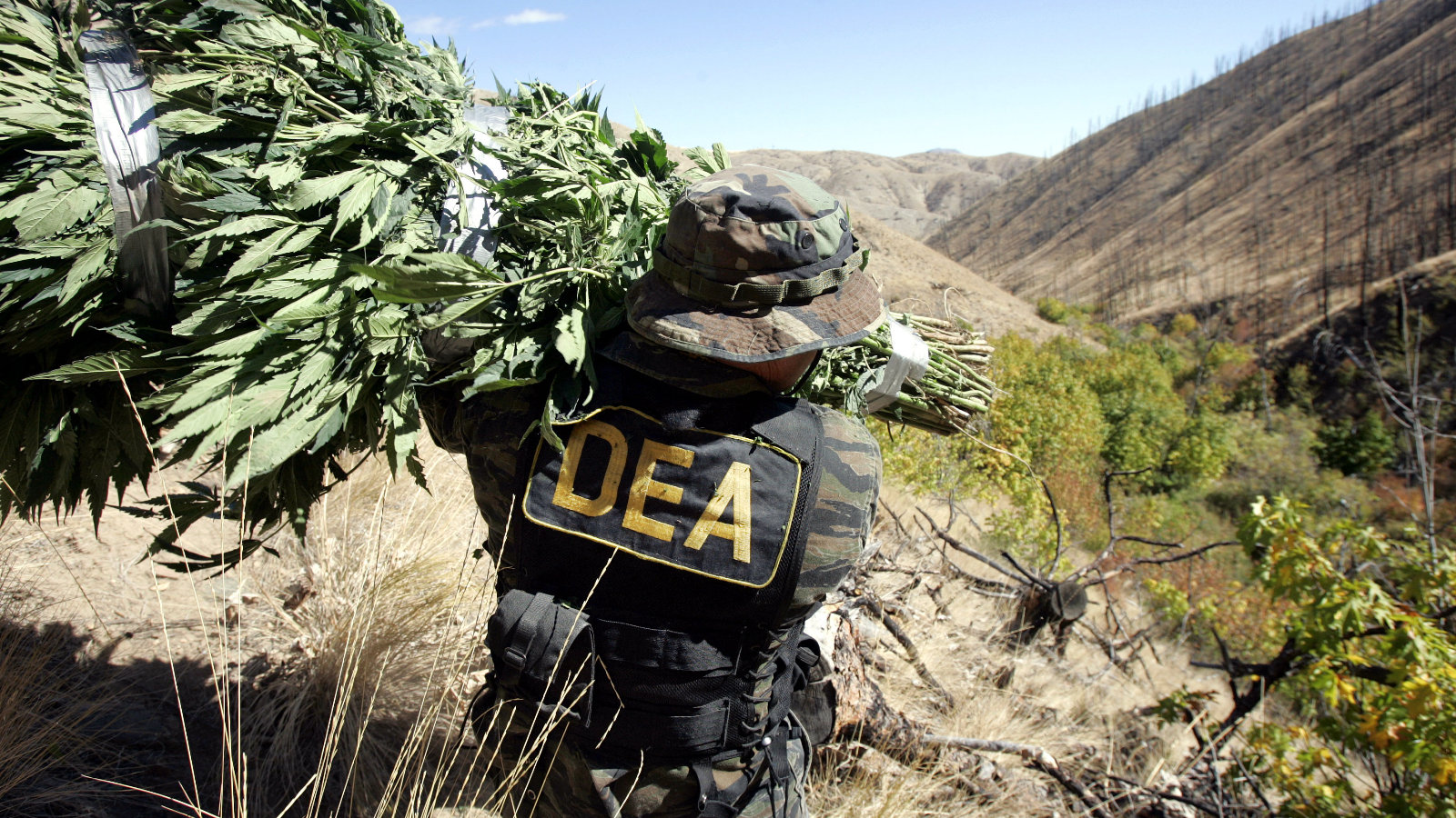 .: A Agência Drug Enforcement Administration (DEA) - de combate ao ...