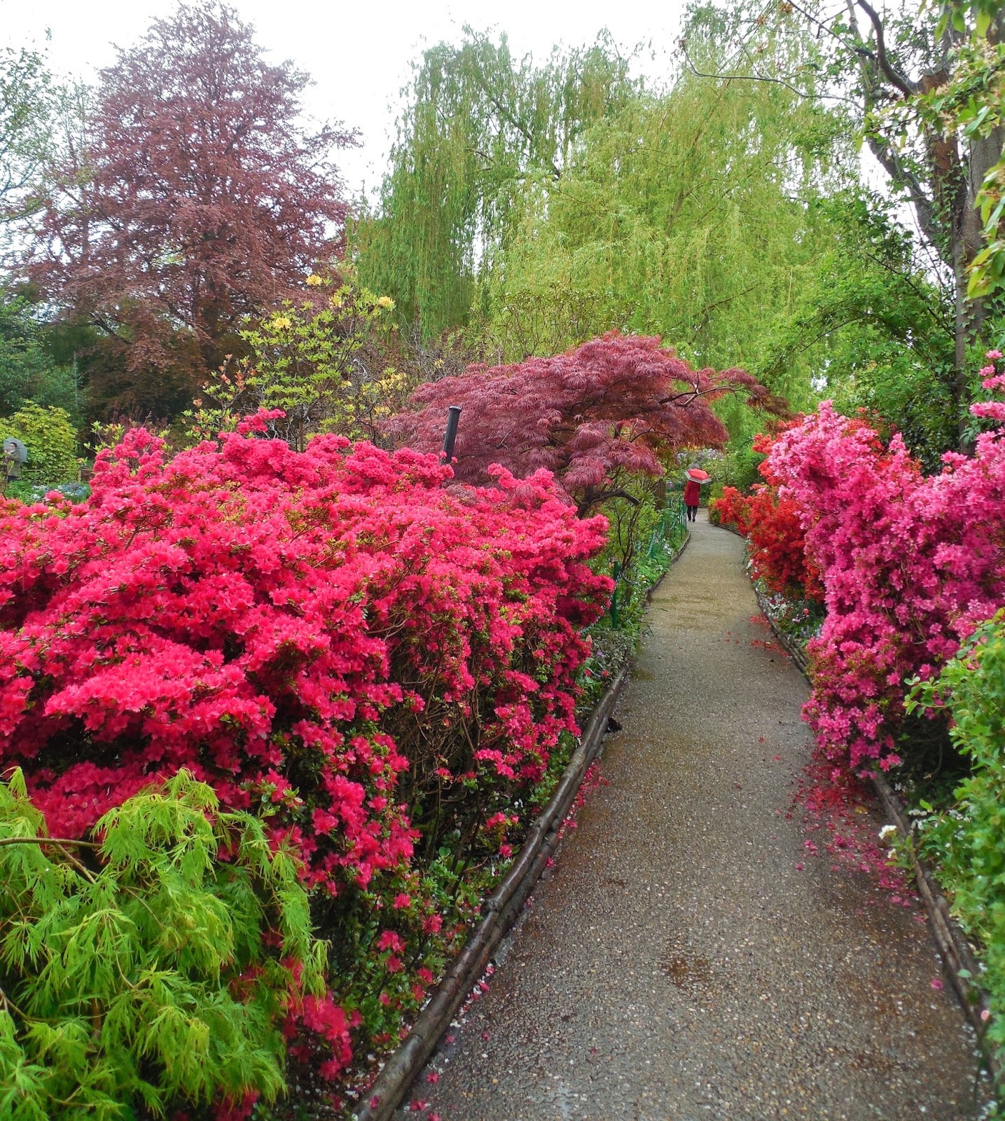 Teatime Journeys: Day 8- Monet's Garden